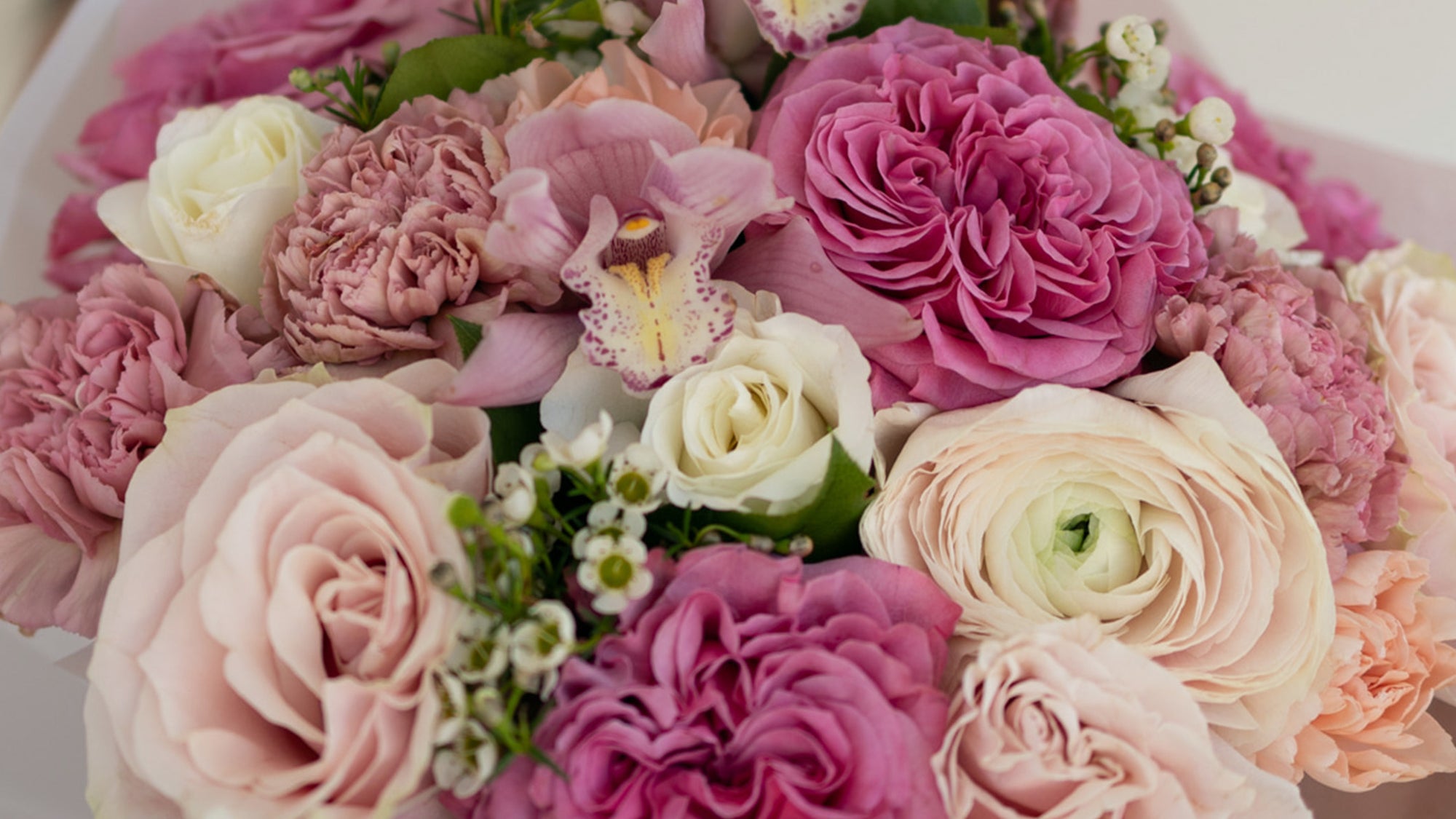 Valentine's Day Flowers from Novapetal Flower Lab | Phoenix's Premier ...