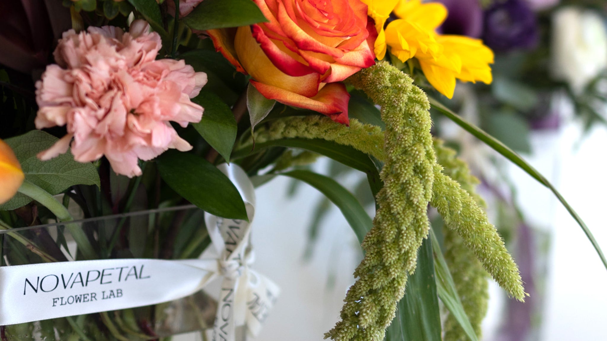 The Ultimate Guide to Fresh Flowers: Why Quality Matters | Novapetal ...